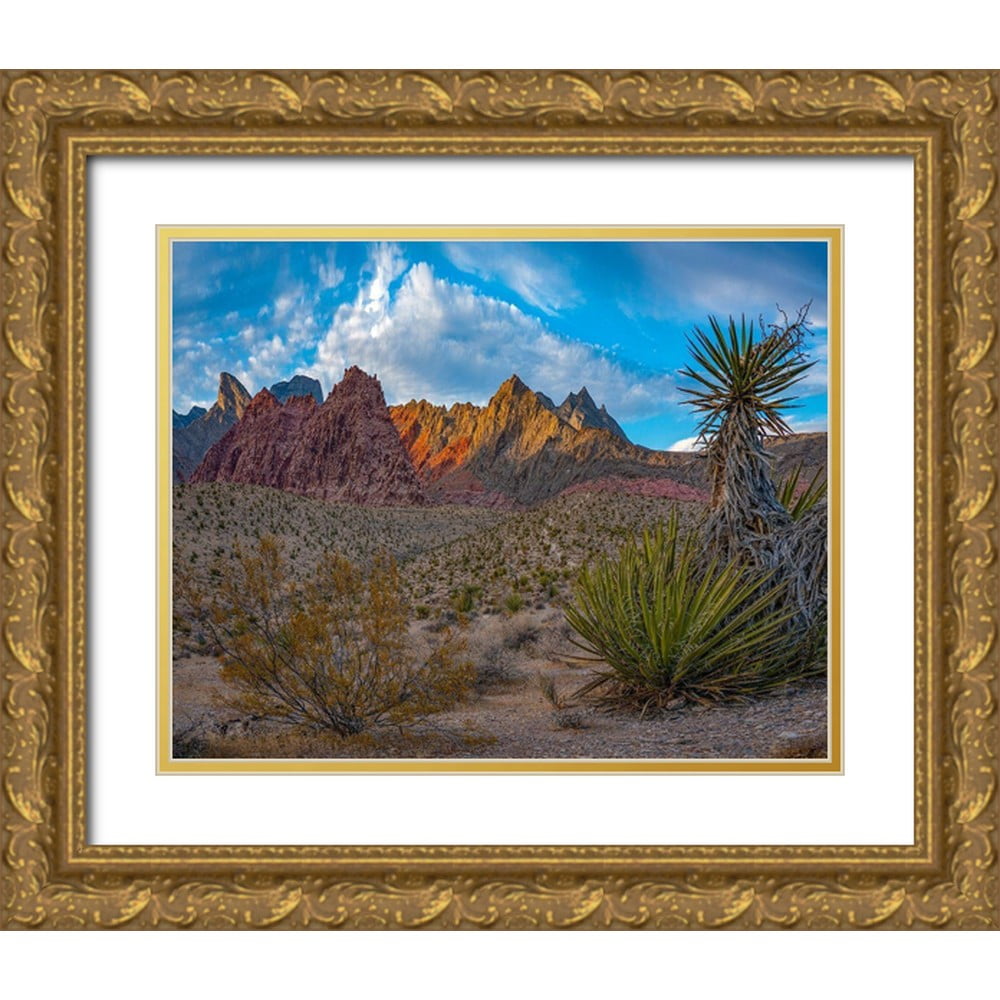 Fitzharris, Tim 18x15 Gold Ornate Wood Framed with Double Matting ...