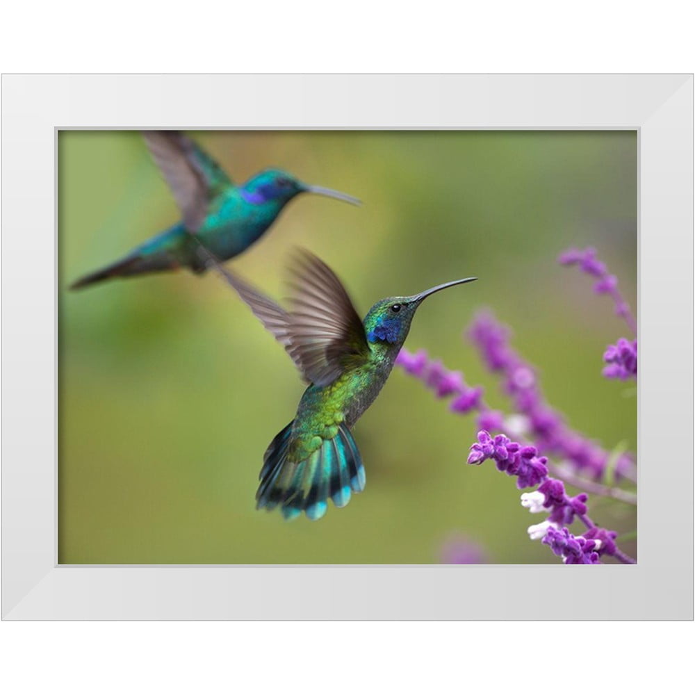 Fitzharris, Tim 18x15 White Modern Wood Framed Museum Art Print Titled ...