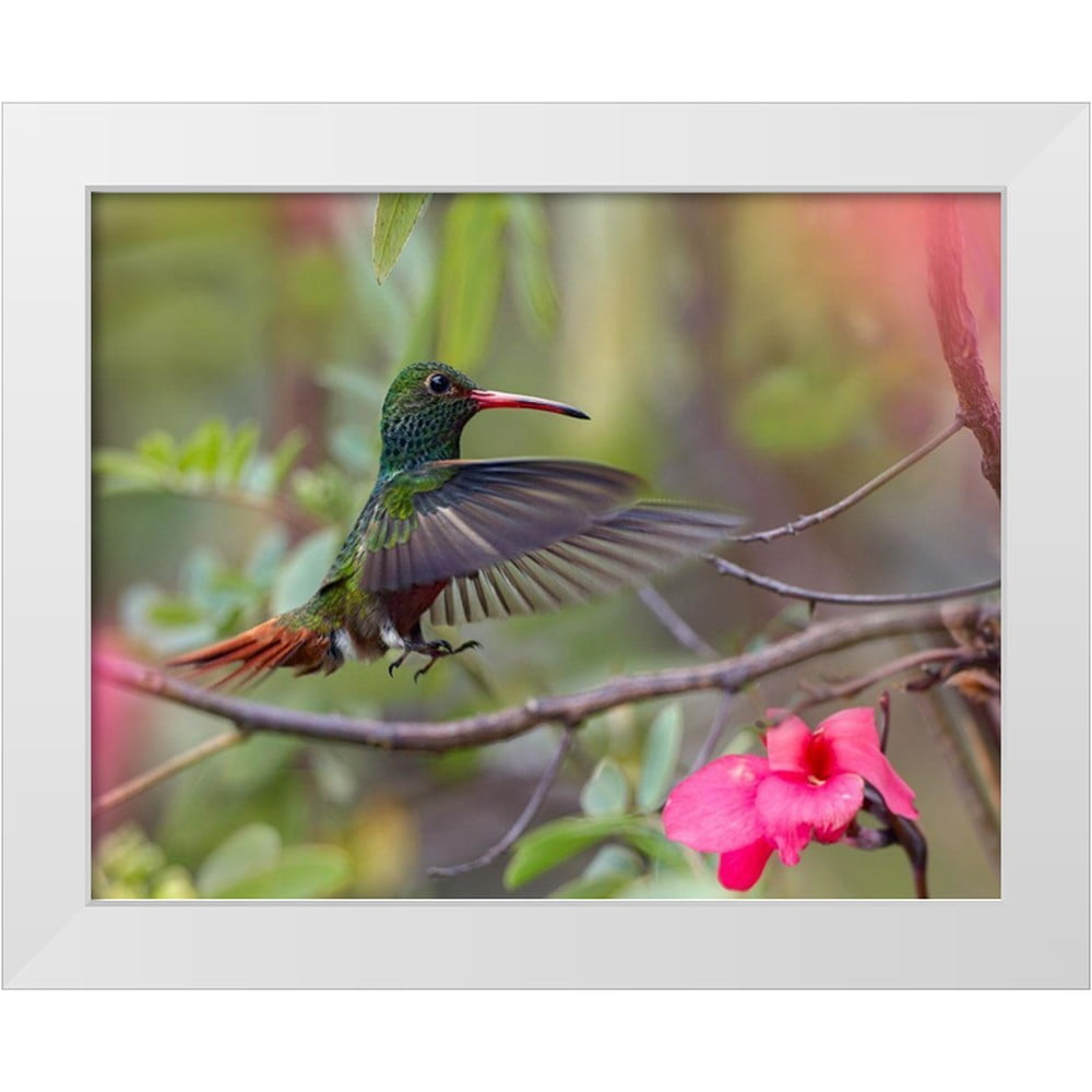 Fitzharris, Tim 18x15 White Modern Wood Framed Museum Art Print Titled ...