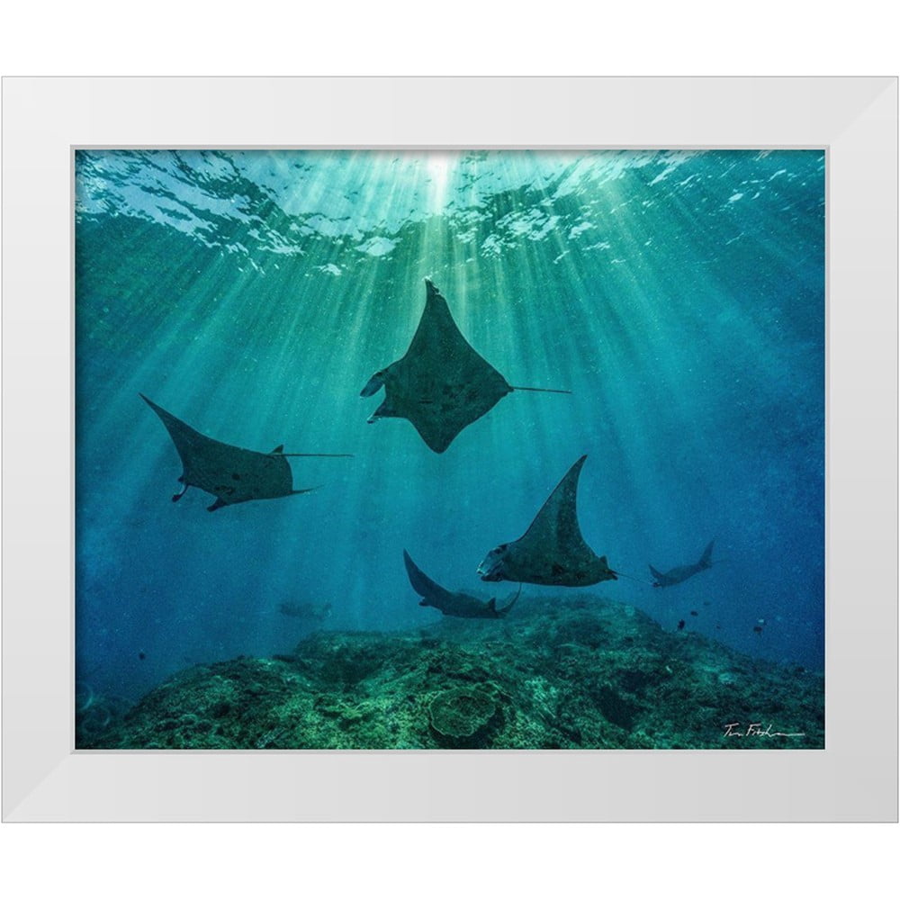 Fitzharris, Tim 18x15 White Modern Wood Framed Museum Art Print Titled ...