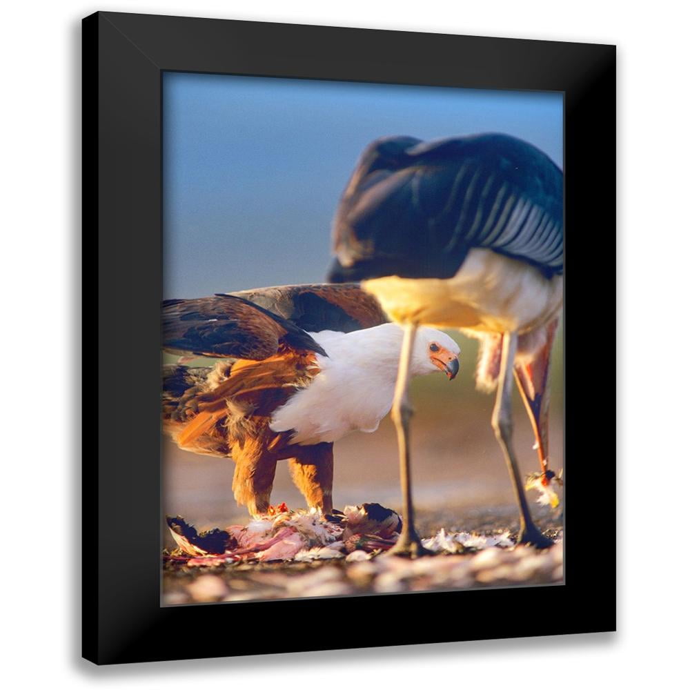 Fitzharris, Tim 18x24 Black Modern Framed Museum Art Print Titled ...