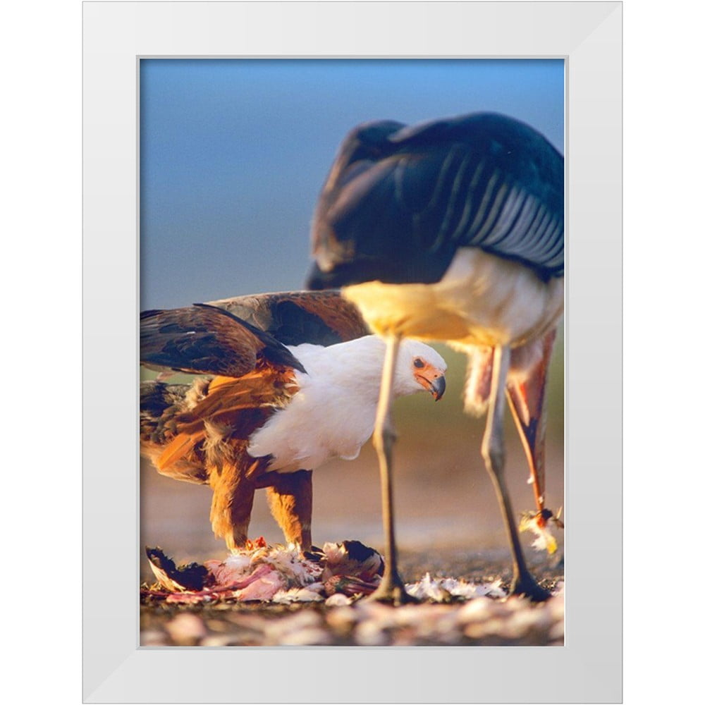 Fitzharris, Tim 18x24 White Modern Wood Framed Museum Art Print Titled ...