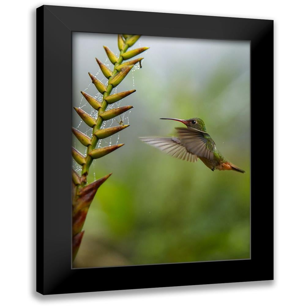 Fitzharris, Tim 19x24 Black Modern Framed Museum Art Print Titled ...