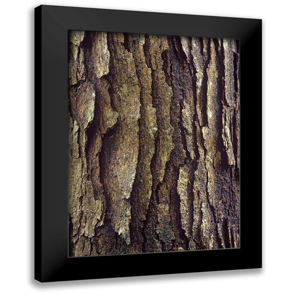 Fitzharris, Tim 19x24 Black Modern Framed Museum Art Print Titled - White Oak Bark - Walmart.com