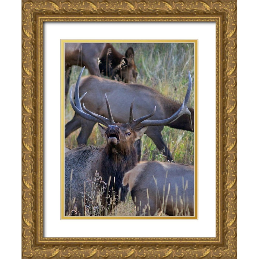 Fitzharris, Tim 19x24 Gold Ornate Wood Framed with Double Matting ...