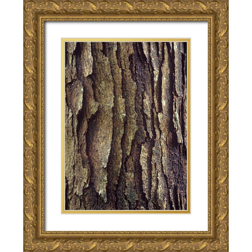 Fitzharris, Tim 19x24 Gold Ornate Wood Framed with Double Matting ...