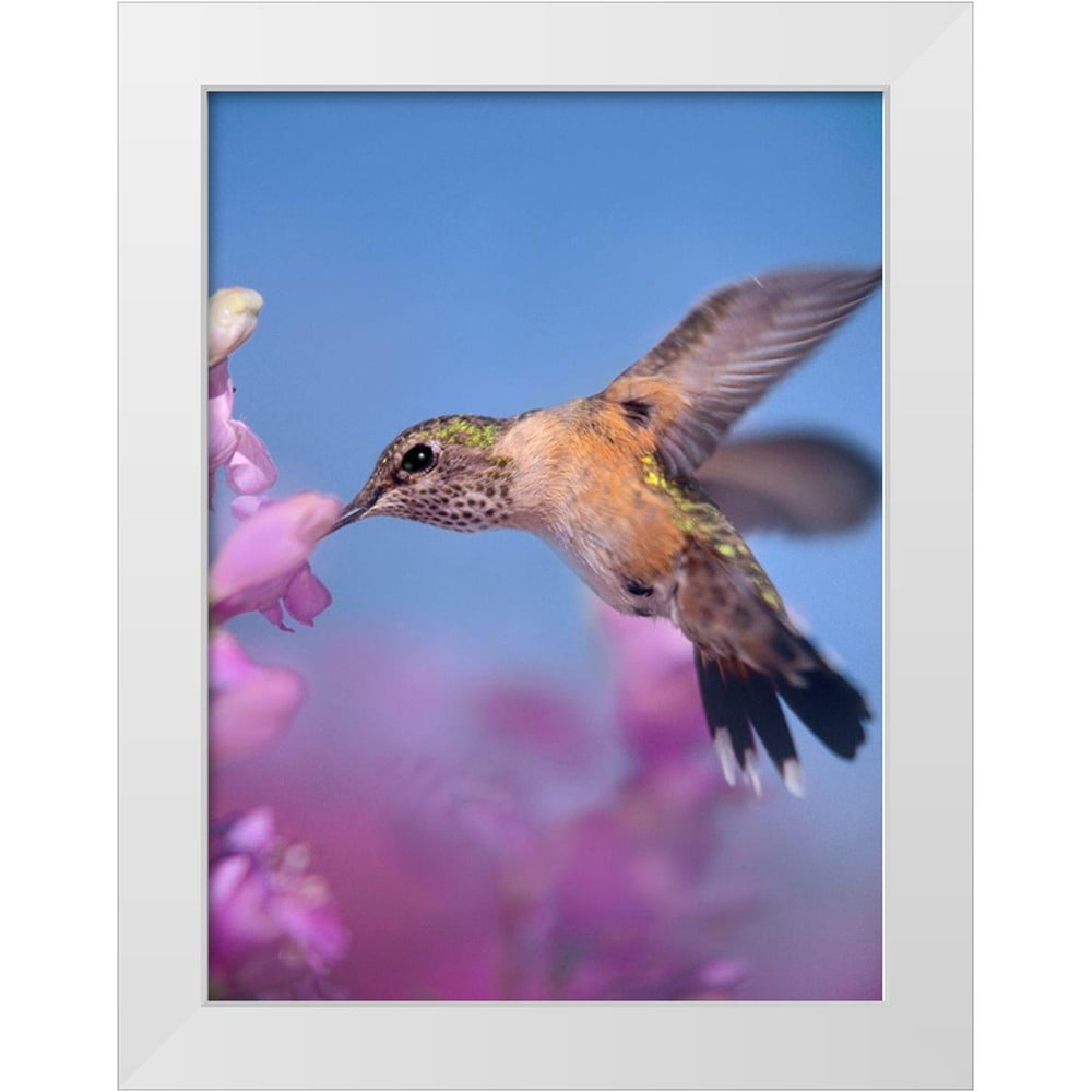 Fitzharris, Tim 19x24 White Modern Wood Framed Museum Art Print Titled ...