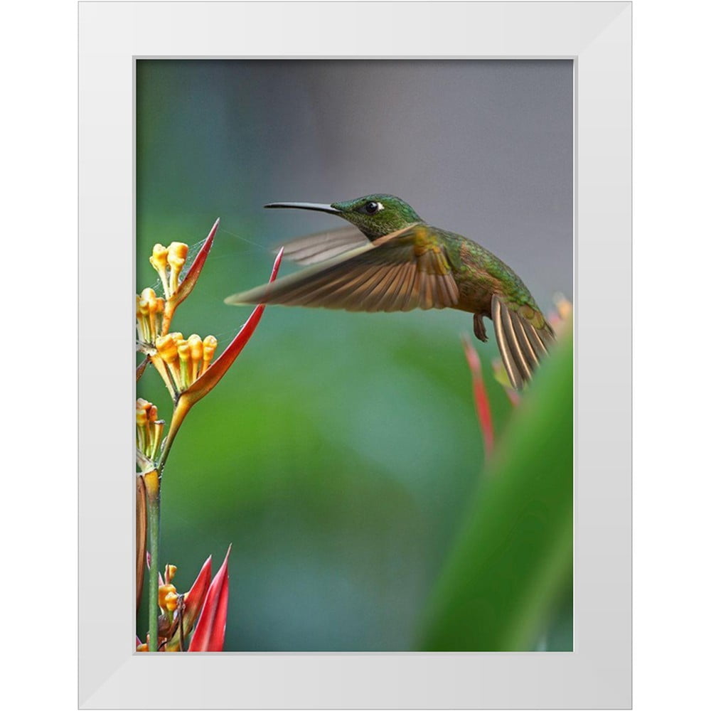 Fitzharris, Tim 19x24 White Modern Wood Framed Museum Art Print Titled ...