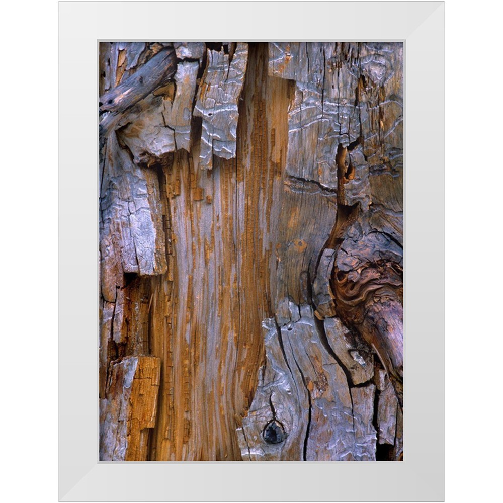 Fitzharris, Tim 19x24 White Modern Wood Framed Museum Art Print Titled ...