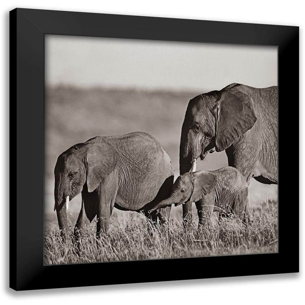 Fitzharris, Tim 20x20 Black Modern Framed Museum Art Print Titled ...