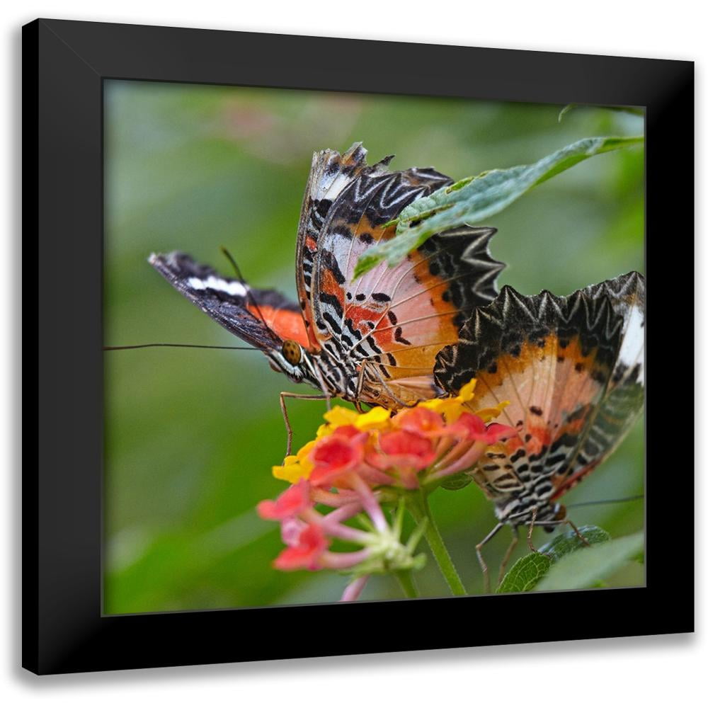 Fitzharris, Tim 20x20 Black Modern Framed Museum Art Print Titled ...