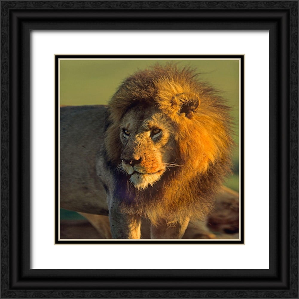 Fitzharris, Tim 20x20 Black Ornate Wood Framed with Double Matting ...