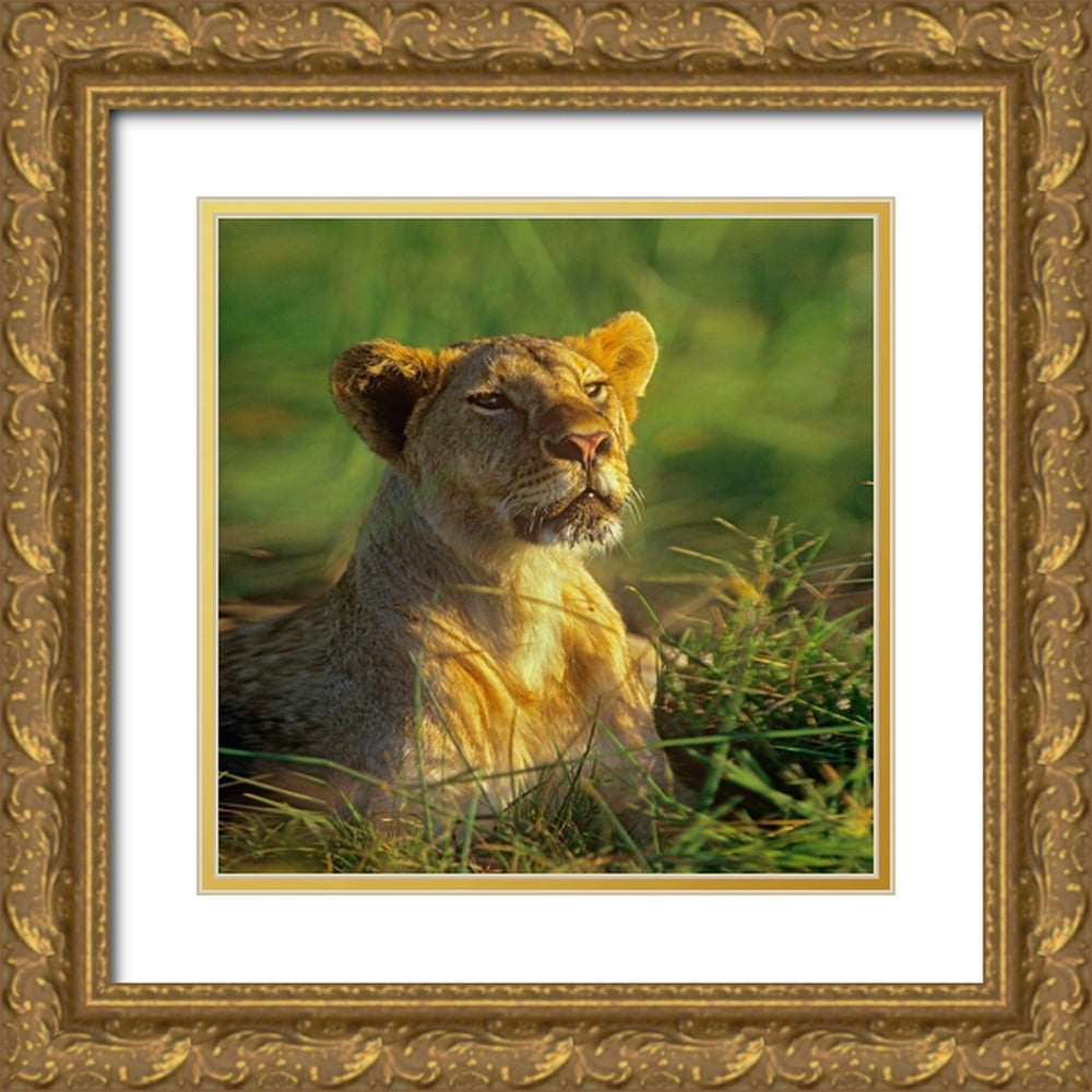 Fitzharris, Tim 20x20 Gold Ornate Wood Framed with Double Matting ...