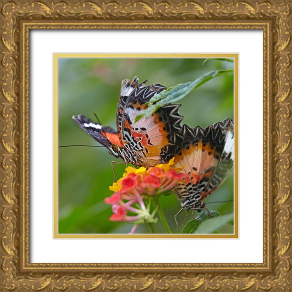 Fitzharris, Tim 20x20 Gold Ornate Wood Framed with Double Matting ...