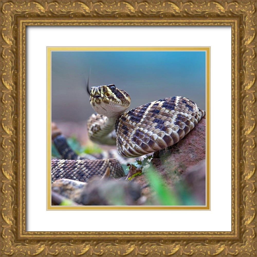 Fitzharris, Tim 20x20 Gold Ornate Wood Framed with Double Matting ...