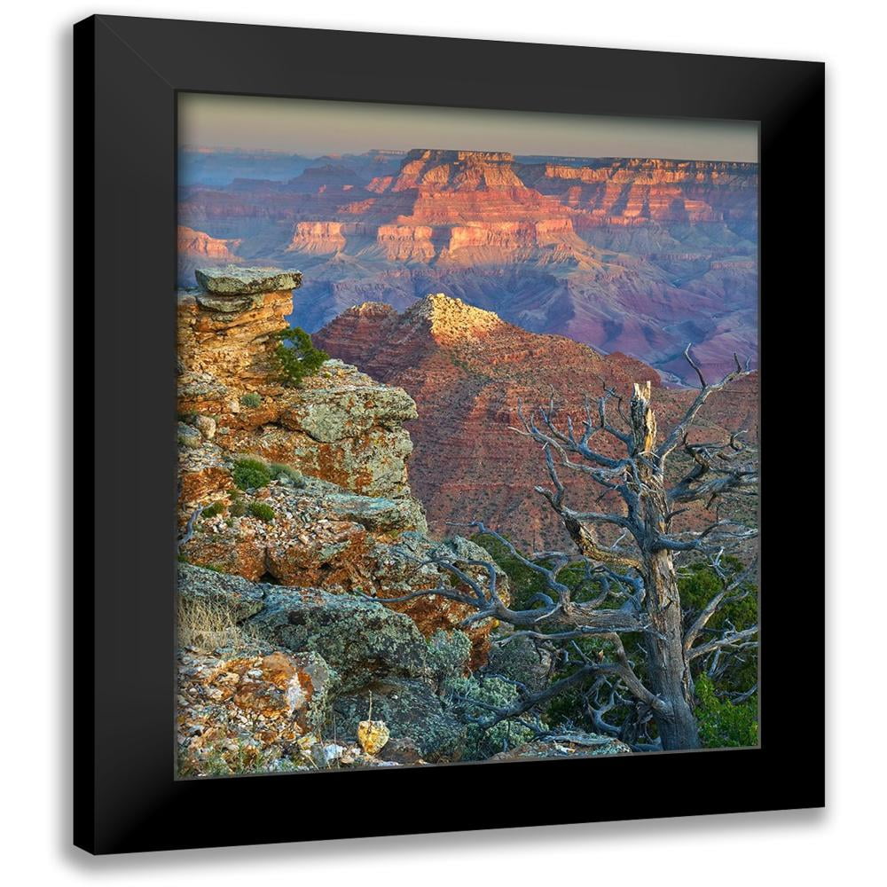 Fitzharris, Tim 20x23 Black Modern Framed Museum Art Print Titled - Desert View Overlook-Grand ...