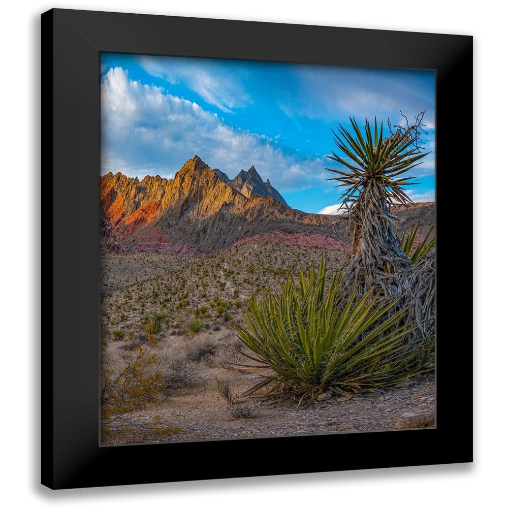 Fitzharris, Tim 20x23 Black Modern Framed Museum Art Print Titled - Red Rock Canyon National ...