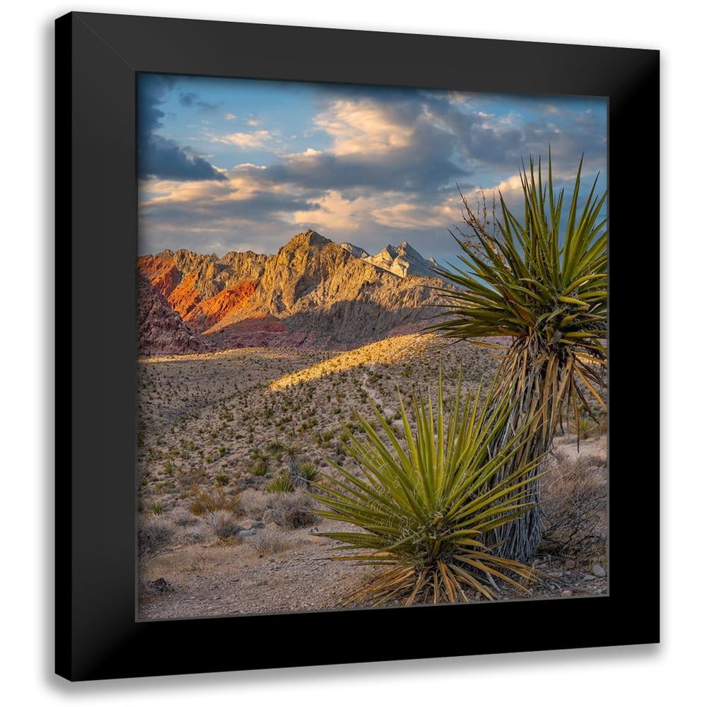 Fitzharris, Tim 20x23 Black Modern Framed Museum Art Print Titled - Red Rock Canyon National ...