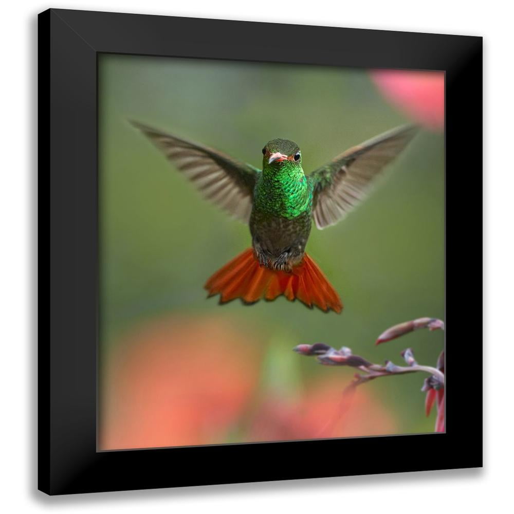 Fitzharris, Tim 20x23 Black Modern Framed Museum Art Print Titled ...