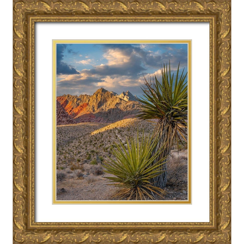 Fitzharris, Tim 20x23 Gold Ornate Wood Framed with Double Matting ...