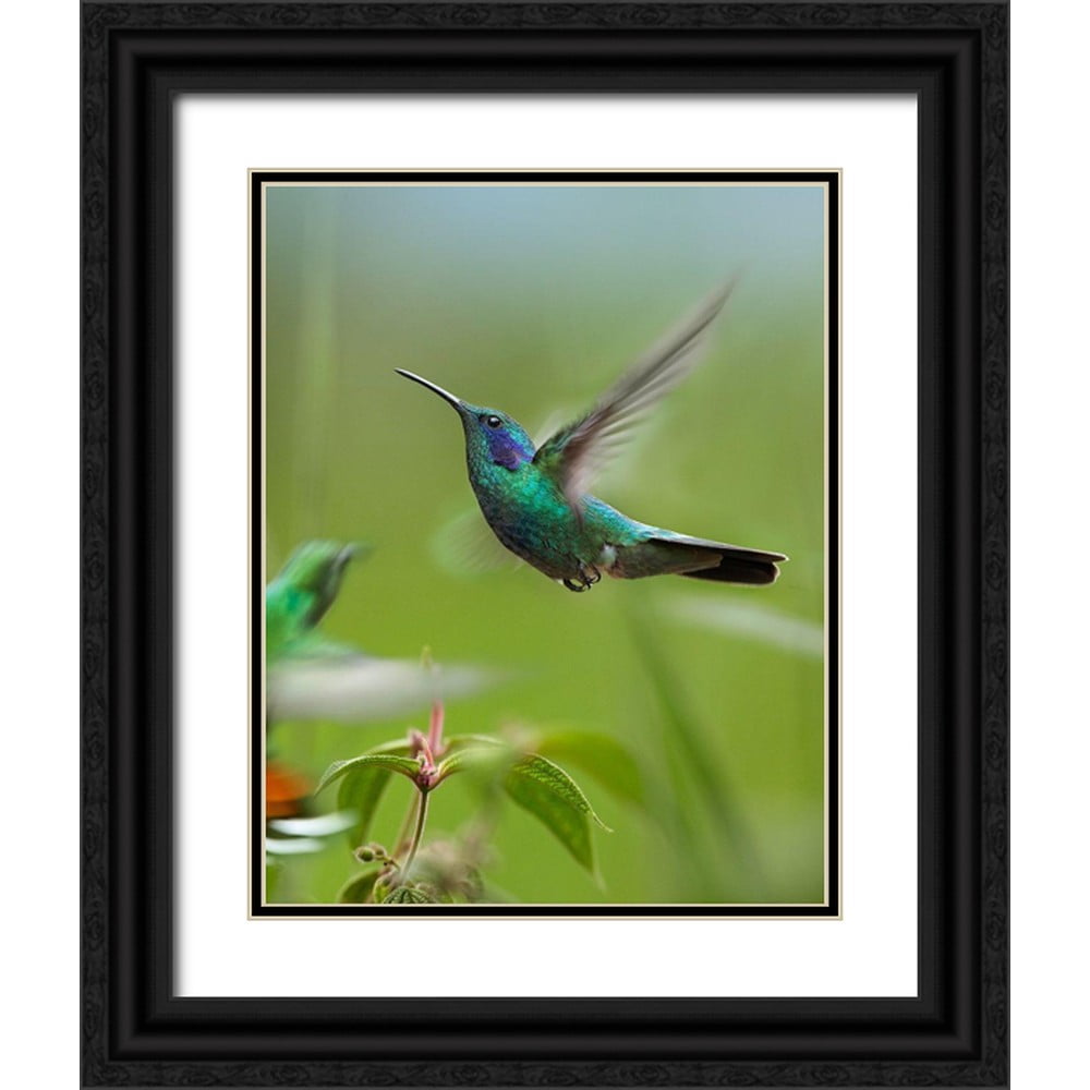 Fitzharris, Tim 20x24 Black Ornate Wood Framed with Double Matting ...