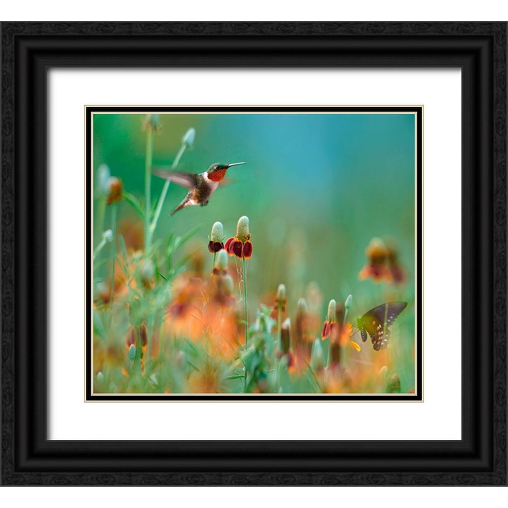 Fitzharris, Tim 22x20 Black Ornate Wood Framed with Double Matting ...