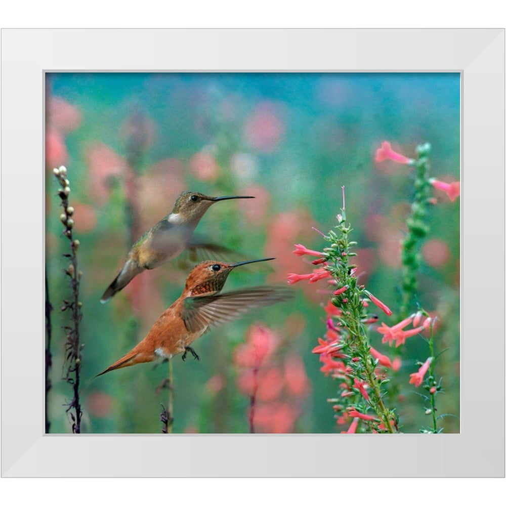 Fitzharris, Tim 22x20 White Modern Wood Framed Museum Art Print Titled ...