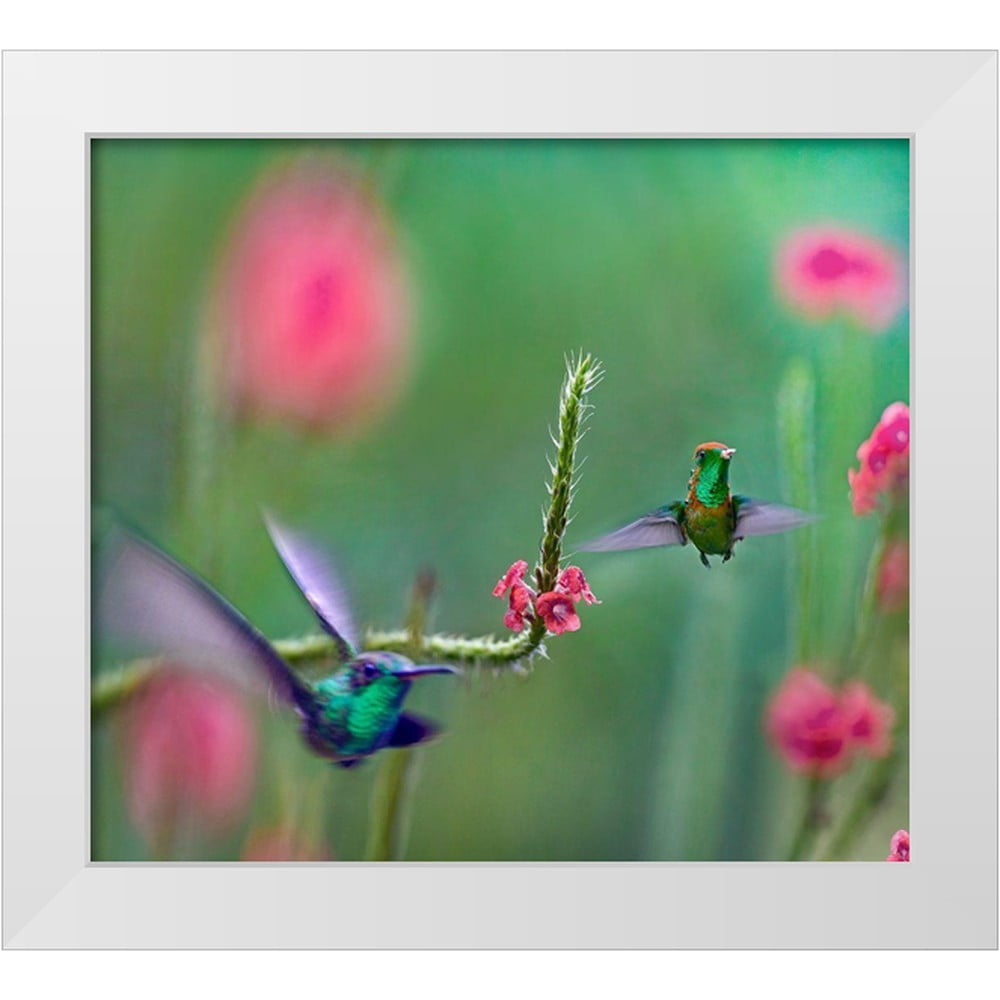 Fitzharris, Tim 22x20 White Modern Wood Framed Museum Art Print Titled ...