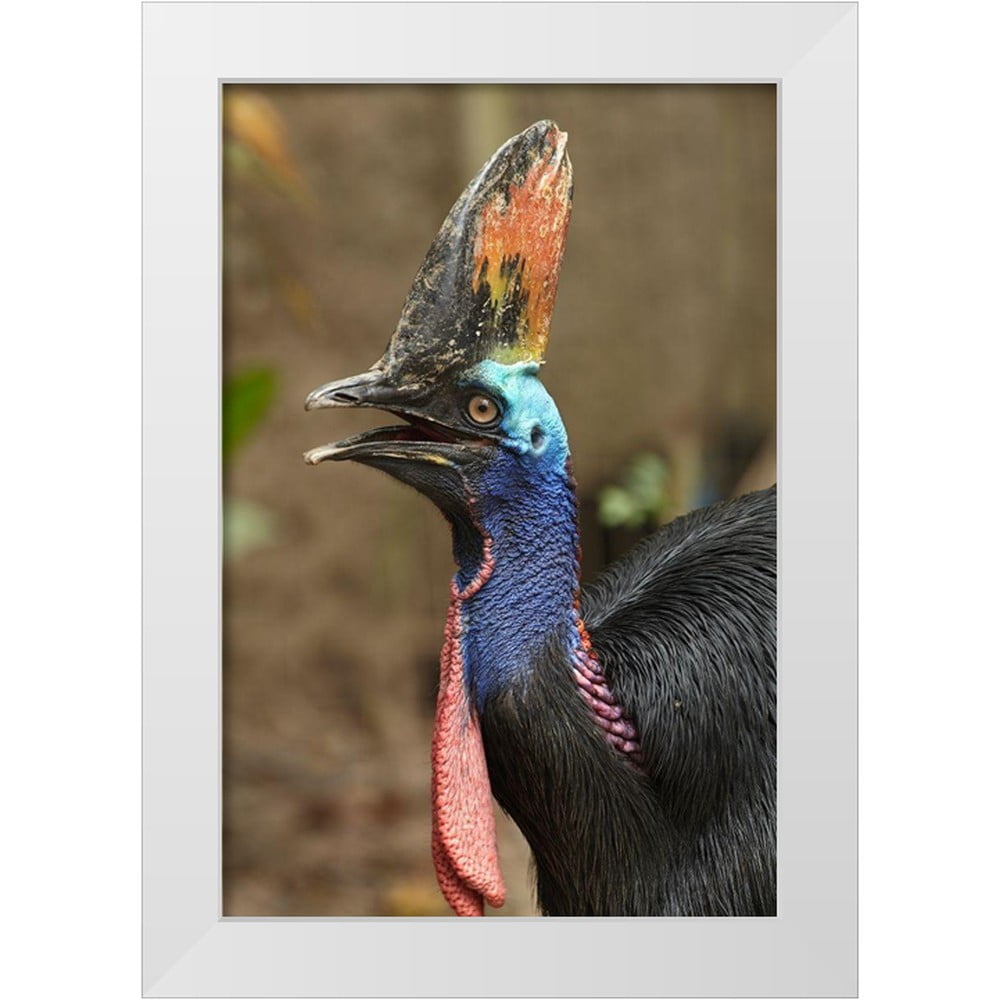 Fitzharris, Tim 23x32 White Modern Wood Framed Museum Art Print Titled ...