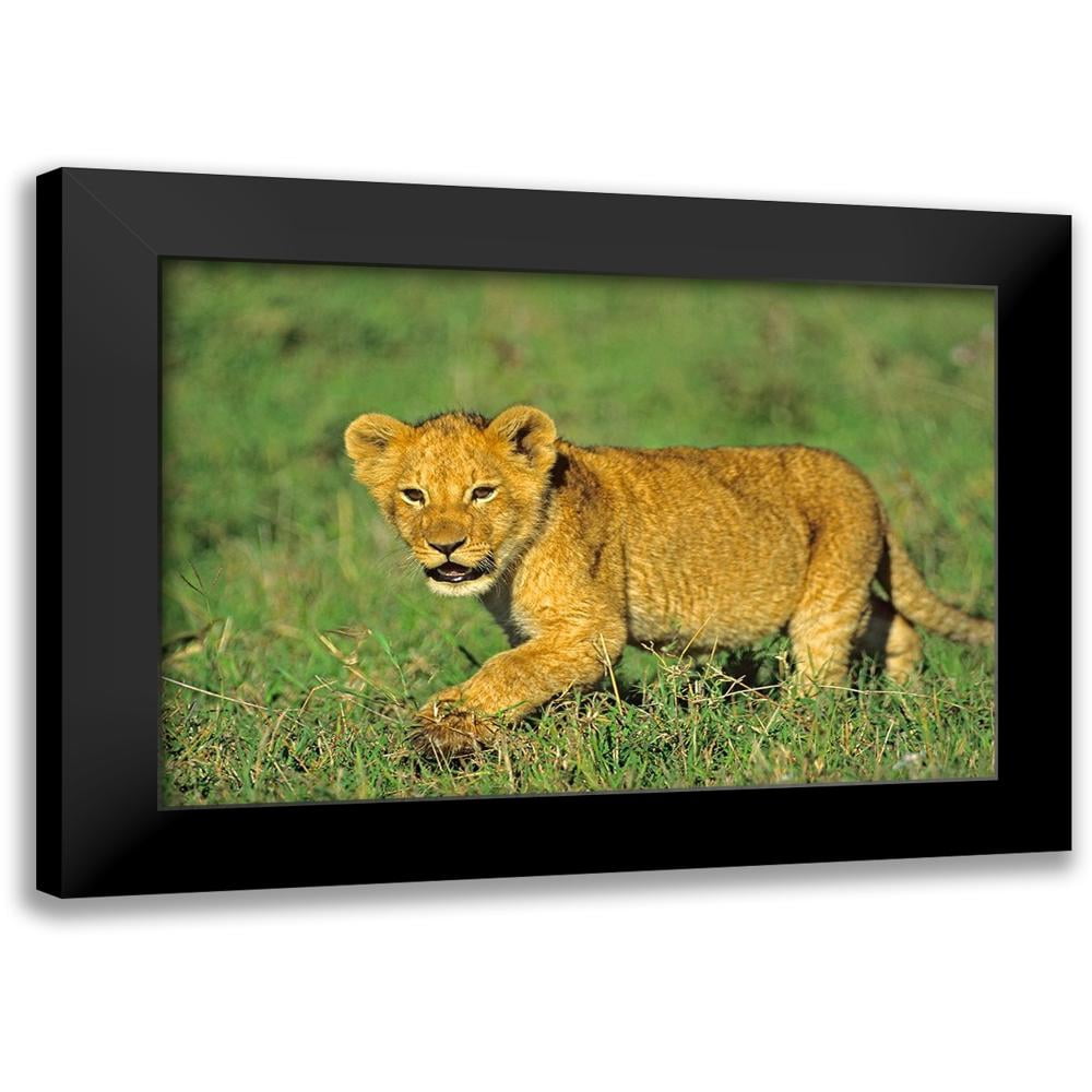 Fitzharris, Tim 24x17 Black Modern Framed Museum Art Print Titled ...