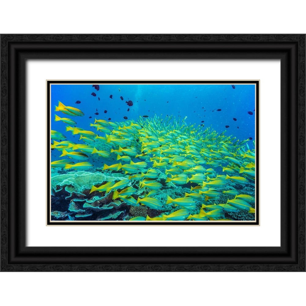 Fitzharris, Tim 24x17 Black Ornate Wood Framed with Double Matting Museum Art Print Titled ...