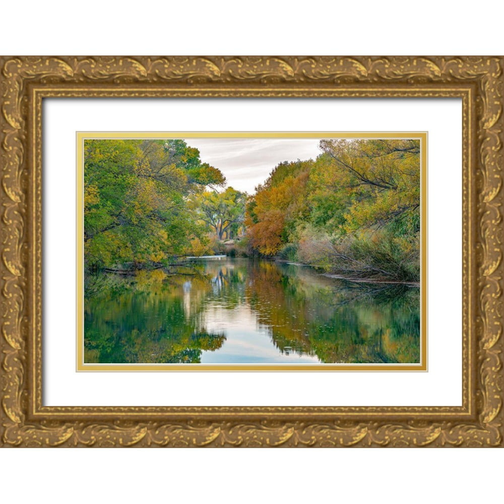 Fitzharris, Tim 24x17 Gold Ornate Wood Framed with Double Matting ...