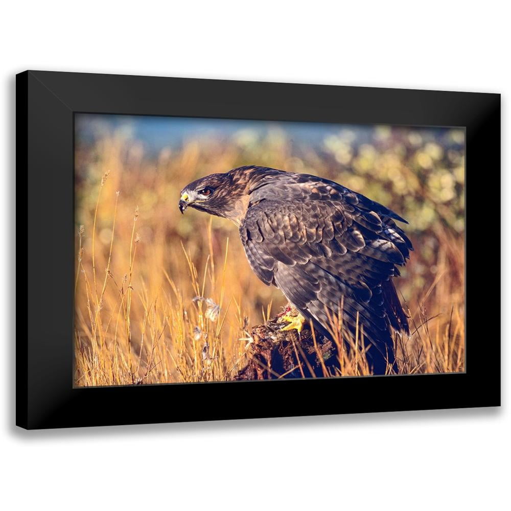 Fitzharris, Tim 24x18 Black Modern Framed Museum Art Print Titled - Red ...