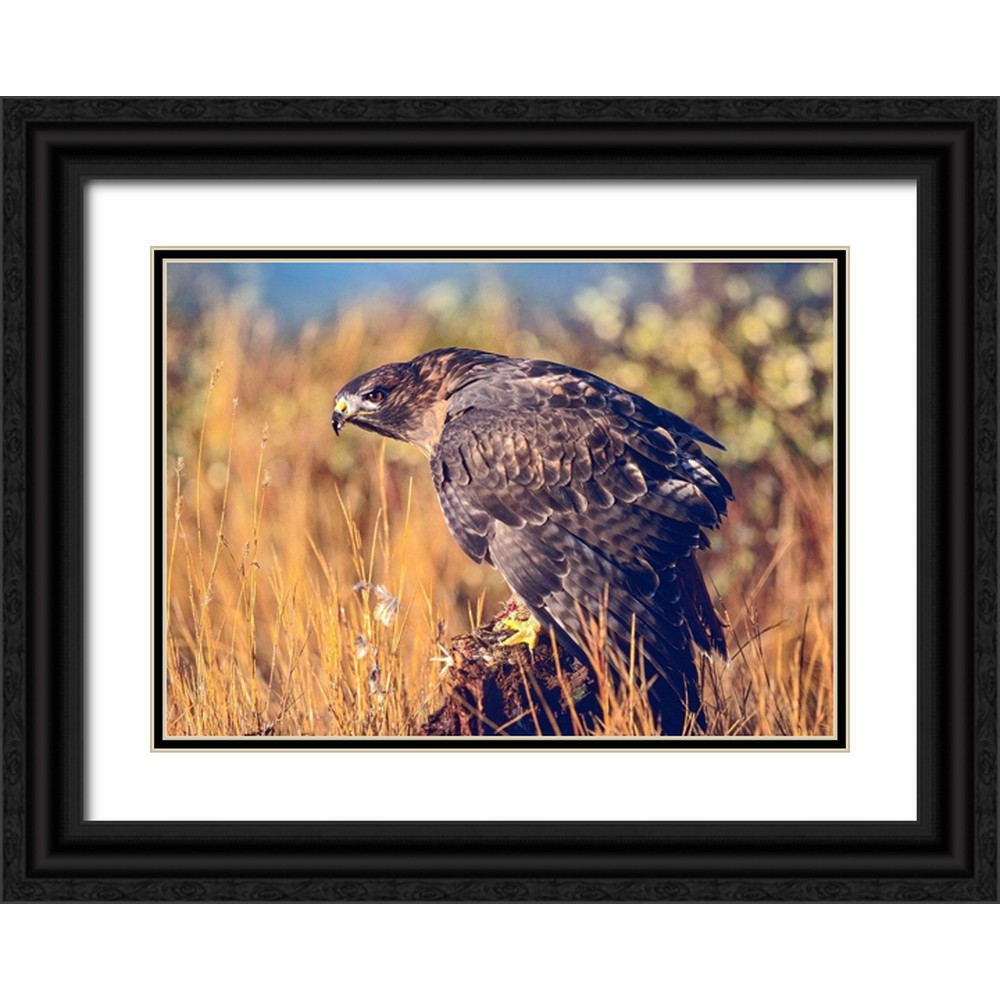 Fitzharris, Tim 24x18 Black Ornate Wood Framed with Double Matting ...