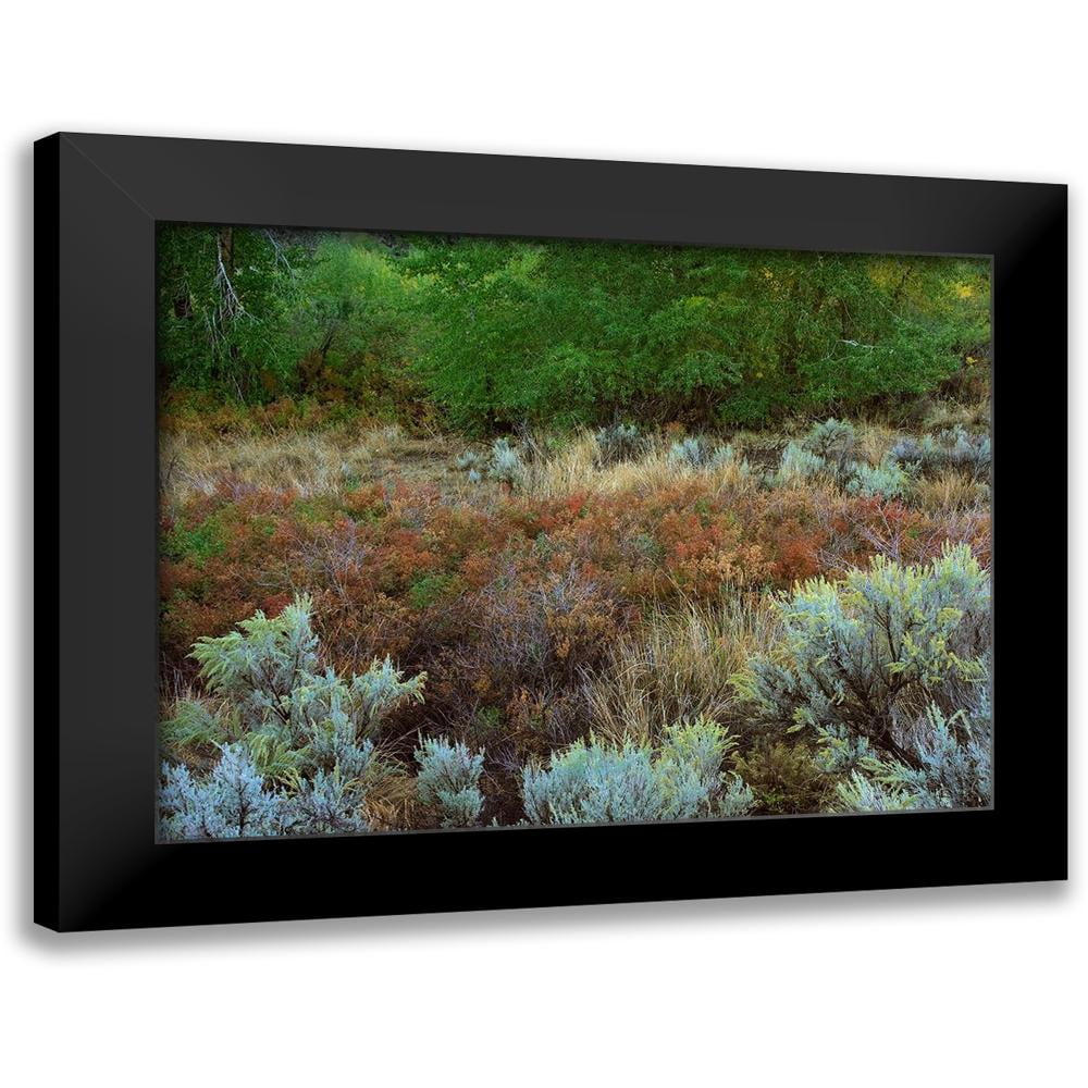 Fitzharris, Tim 24x19 Black Modern Framed Museum Art Print Titled ...