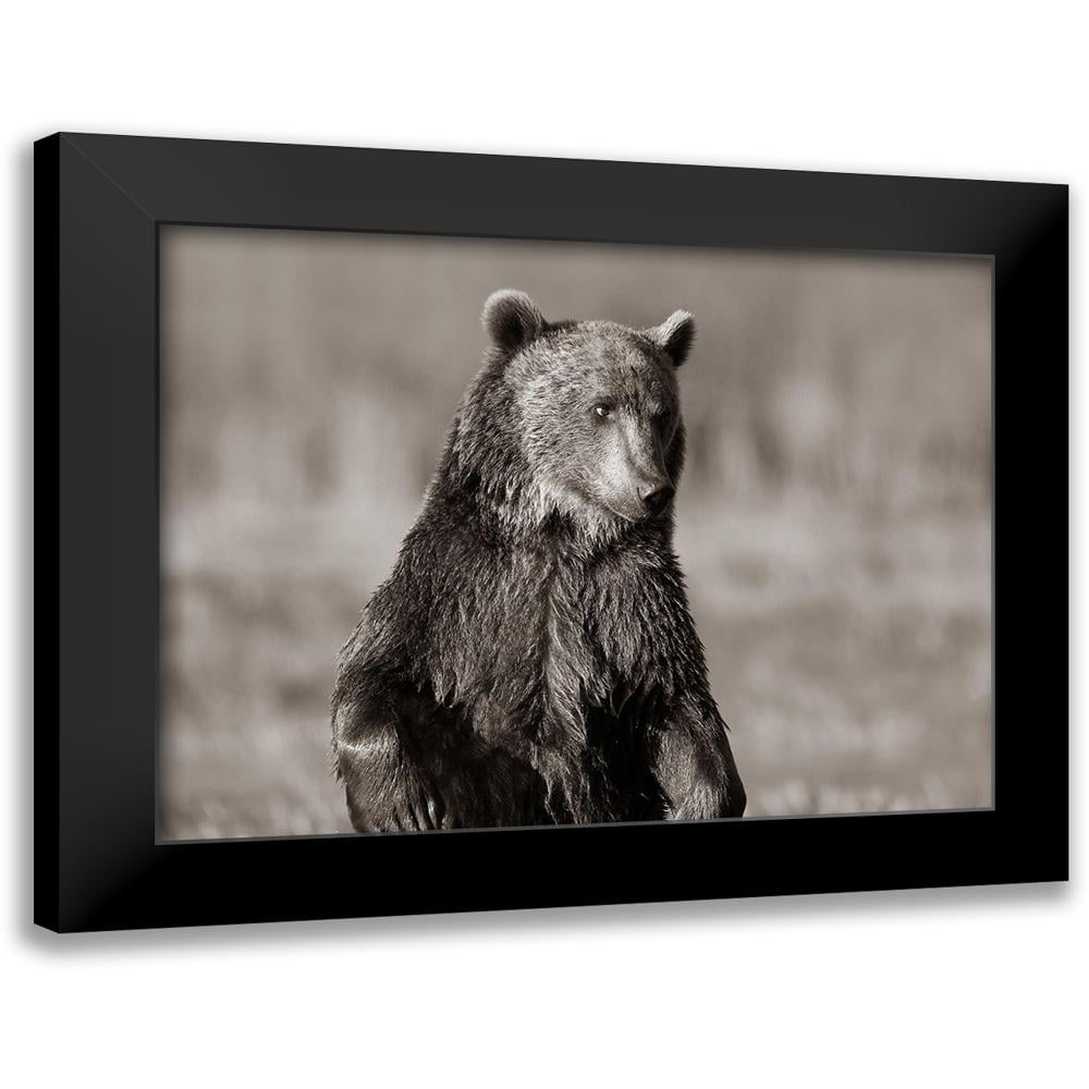 Fitzharris, Tim 24x19 Black Modern Framed Museum Art Print Titled ...