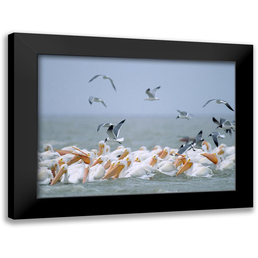 Fitzharris, Tim 24x19 Black Modern Framed Museum Art Print Titled ...