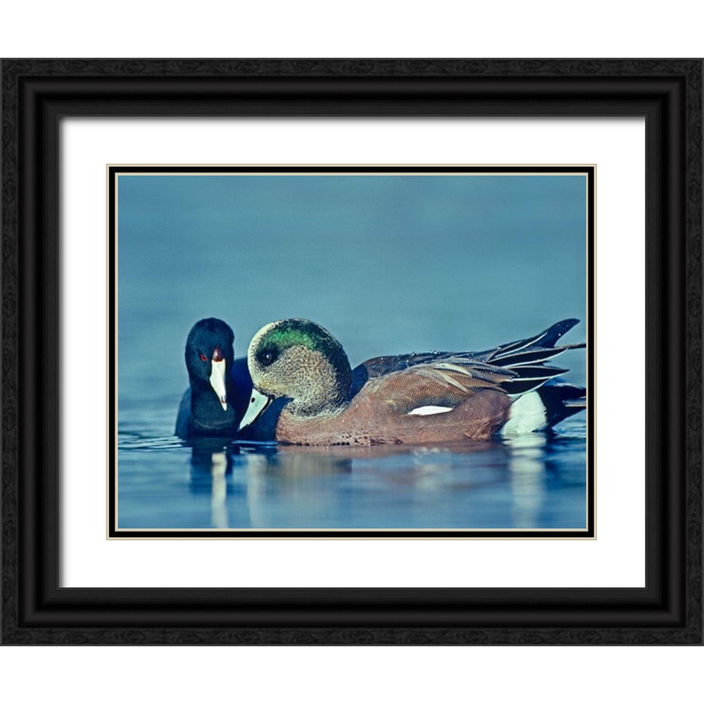 Fitzharris, Tim 24x19 Black Ornate Wood Framed with Double Matting ...