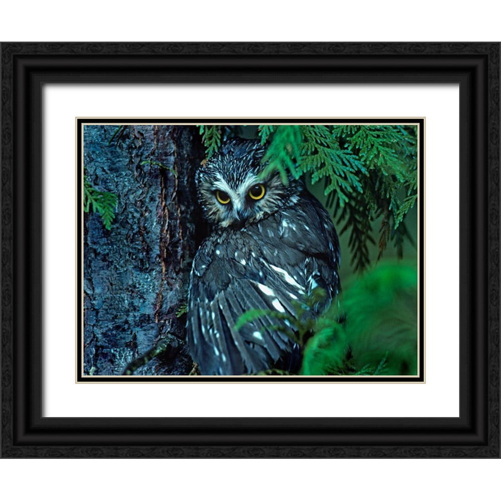 Fitzharris, Tim 24x19 Black Ornate Wood Framed with Double Matting ...