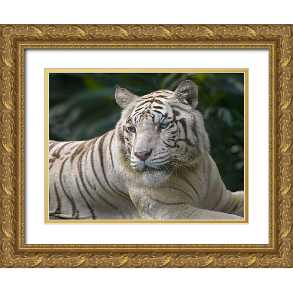 Fitzharris, Tim 24x19 Gold Ornate Wood Framed with Double Matting ...