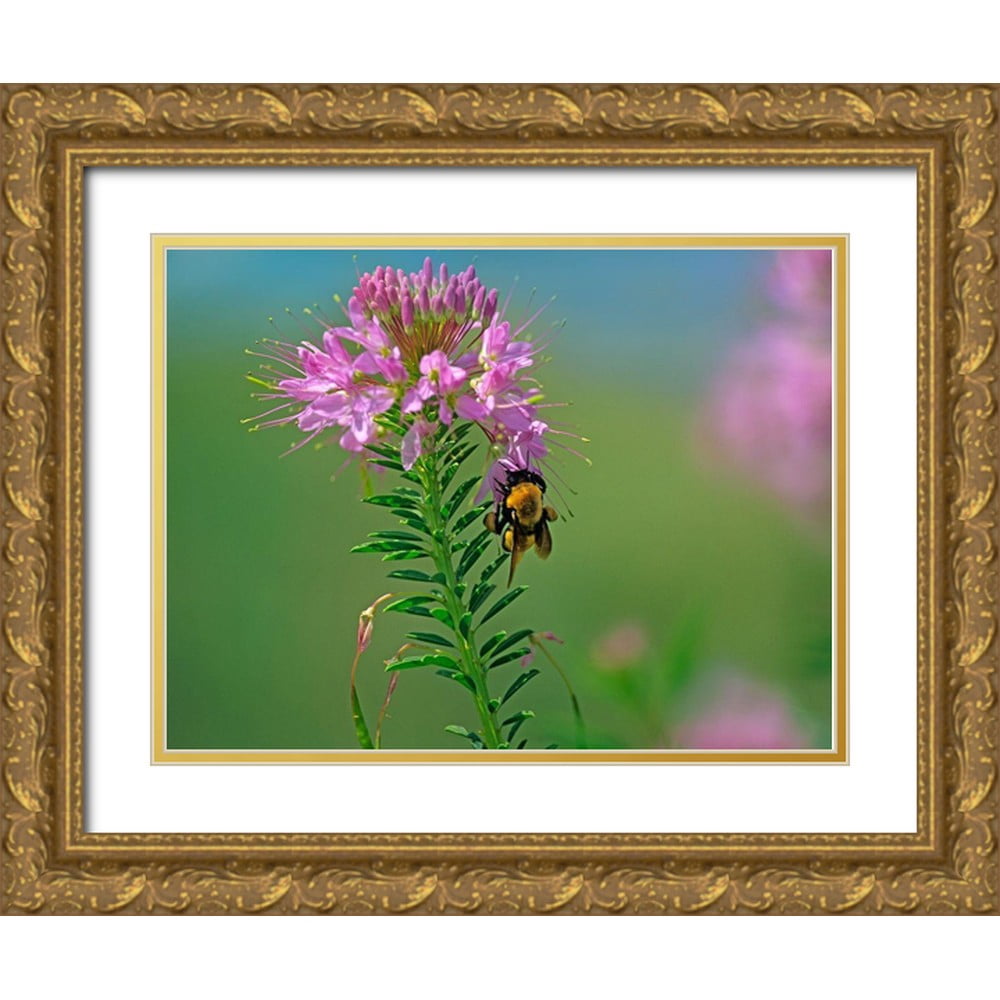 Fitzharris, Tim 24x19 Gold Ornate Wood Framed with Double Matting ...