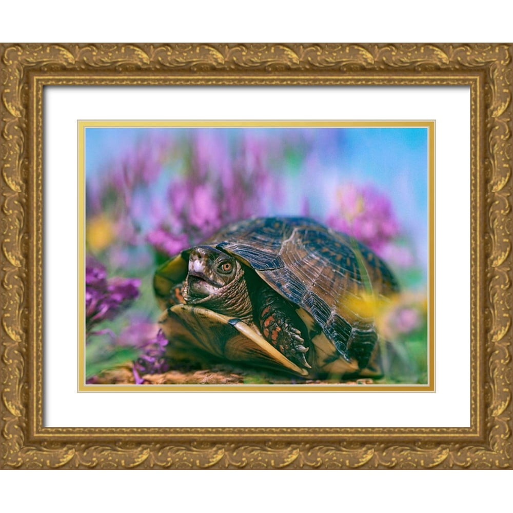 Fitzharris, Tim 24x19 Gold Ornate Wood Framed with Double Matting ...