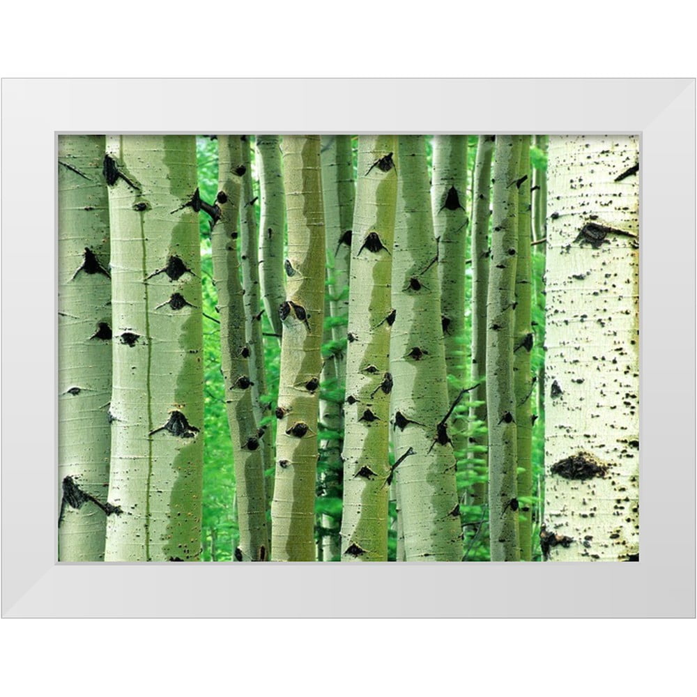 Fitzharris, Tim 24x19 White Modern Wood Framed Museum Art Print Titled ...