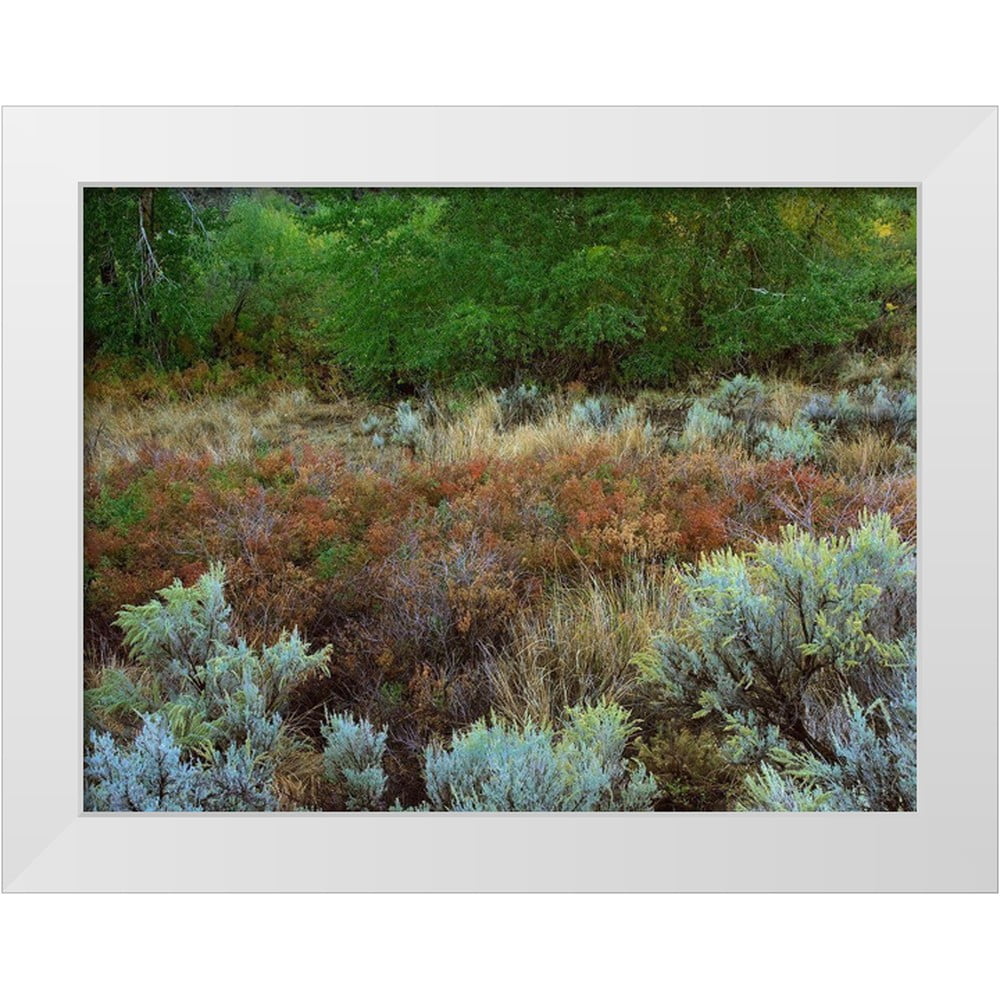 Fitzharris, Tim 24x19 White Modern Wood Framed Museum Art Print Titled ...