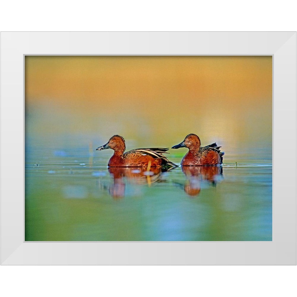 Fitzharris, Tim 24x19 White Modern Wood Framed Museum Art Print Titled ...