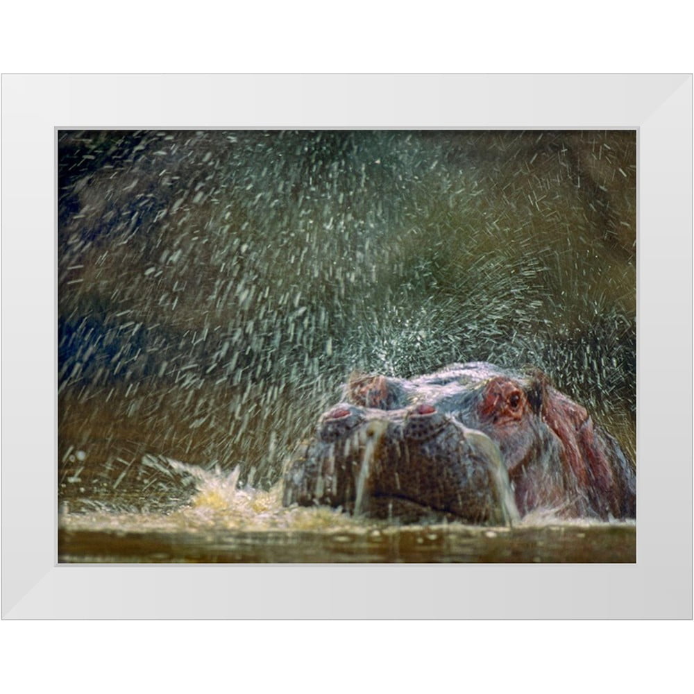 Fitzharris, Tim 24x19 White Modern Wood Framed Museum Art Print Titled ...