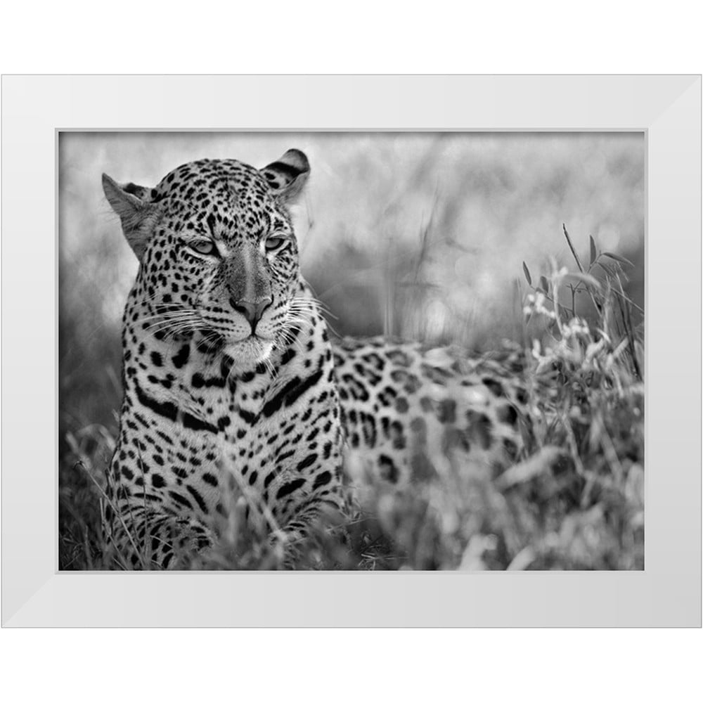Fitzharris, Tim 24x19 White Modern Wood Framed Museum Art Print Titled ...
