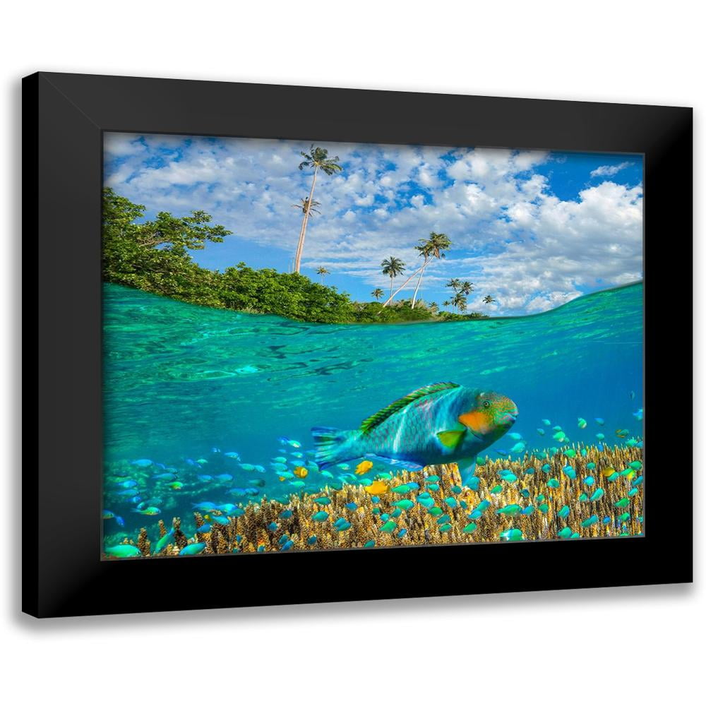 Fitzharris, Tim 24x20 Black Modern Framed Museum Art Print Titled ...