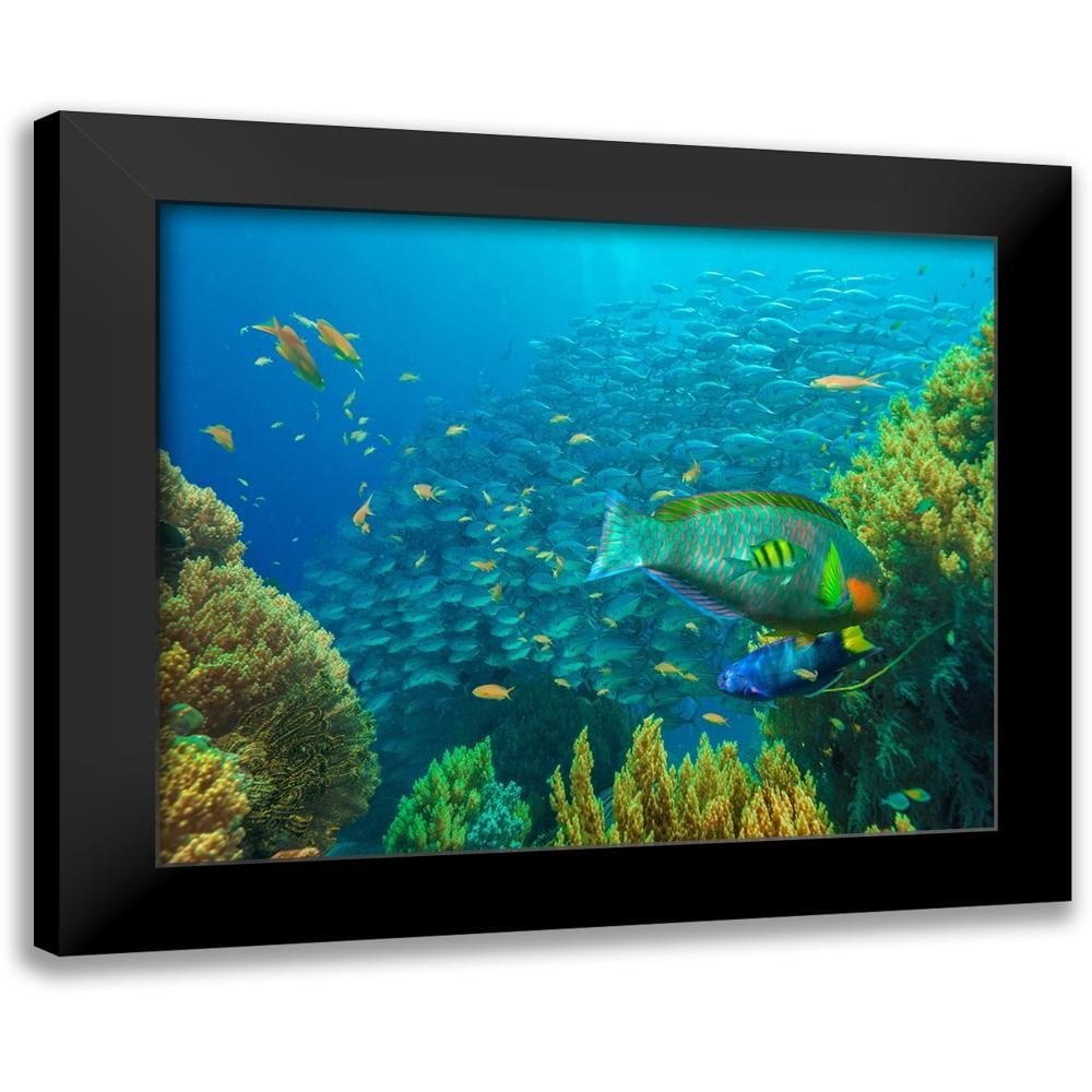 Fitzharris, Tim 24x20 Black Modern Framed Museum Art Print Titled ...