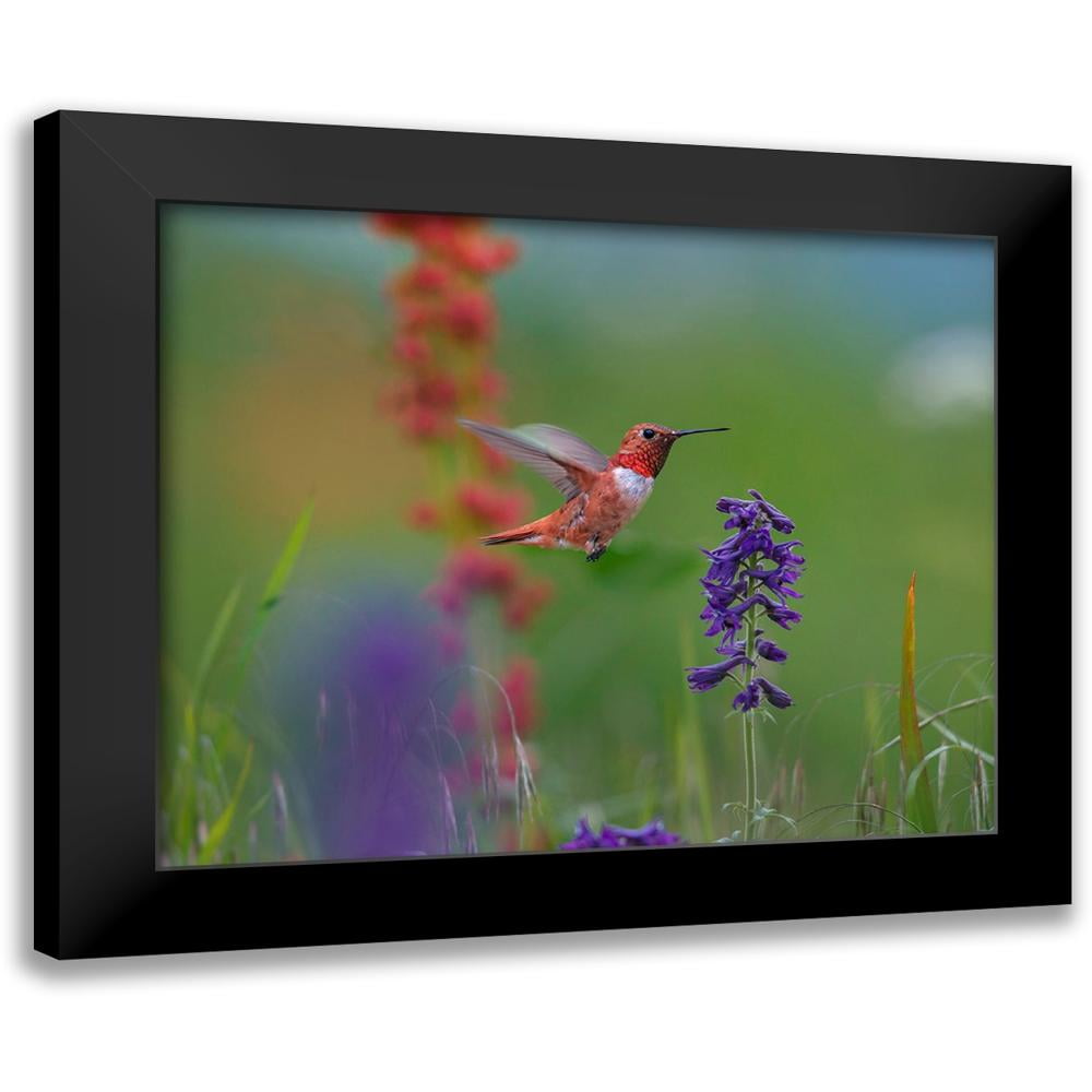 Fitzharris, Tim 24x20 Black Modern Framed Museum Art Print Titled ...